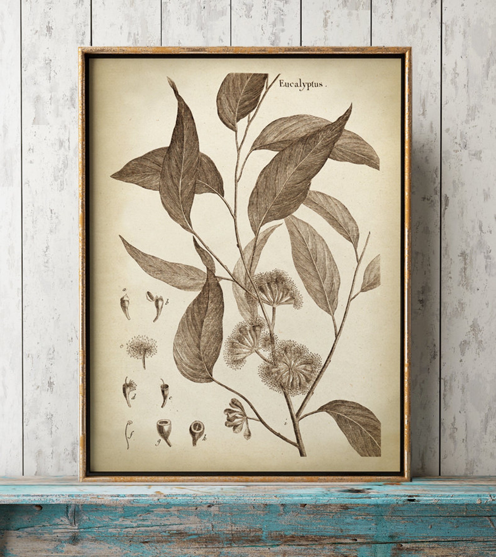 BOTANICAL Print SET of 2 Flower Poster Flowers Print | Etsy