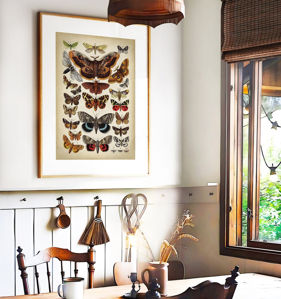 Butterfly Poster, Vintage Aesthetic Insect Print, Wall Decor ...