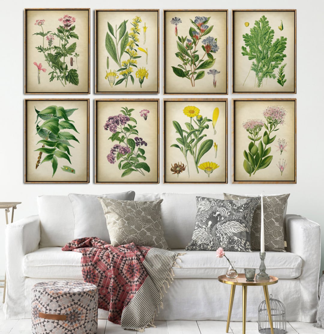 Botanical Print SET of 8 Flower Prints, Plants Botanical Poster, Flower ...