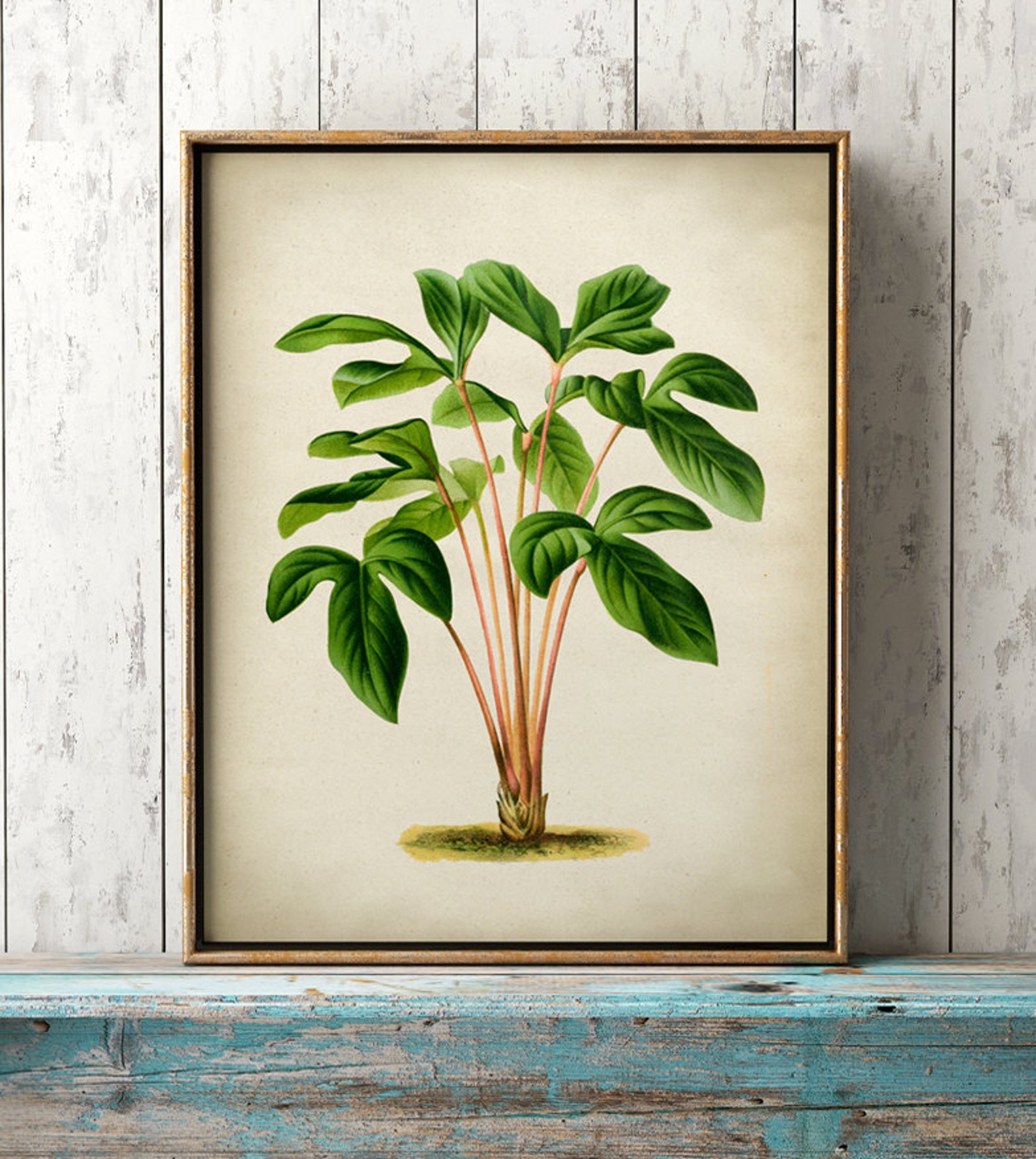 Palm Botanical Print SET of 2 Palm Print Palm Tree Poster | Etsy