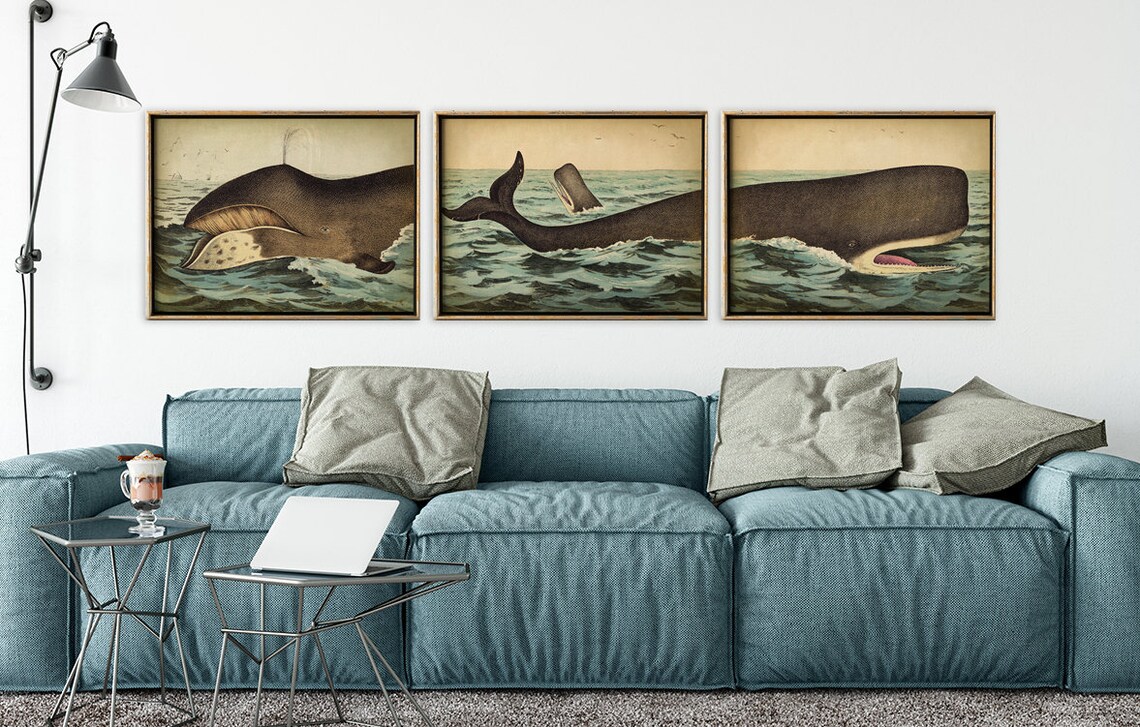 WHALE PRINT SET 3 Whales Set Poster Whale Poster Coastal - Etsy