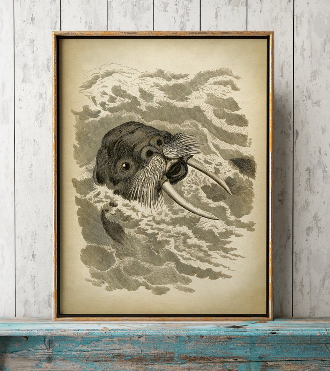 WALRUS Print, WALRUS Poster, Marine Decor, Sea Life, Marine Mammal ...