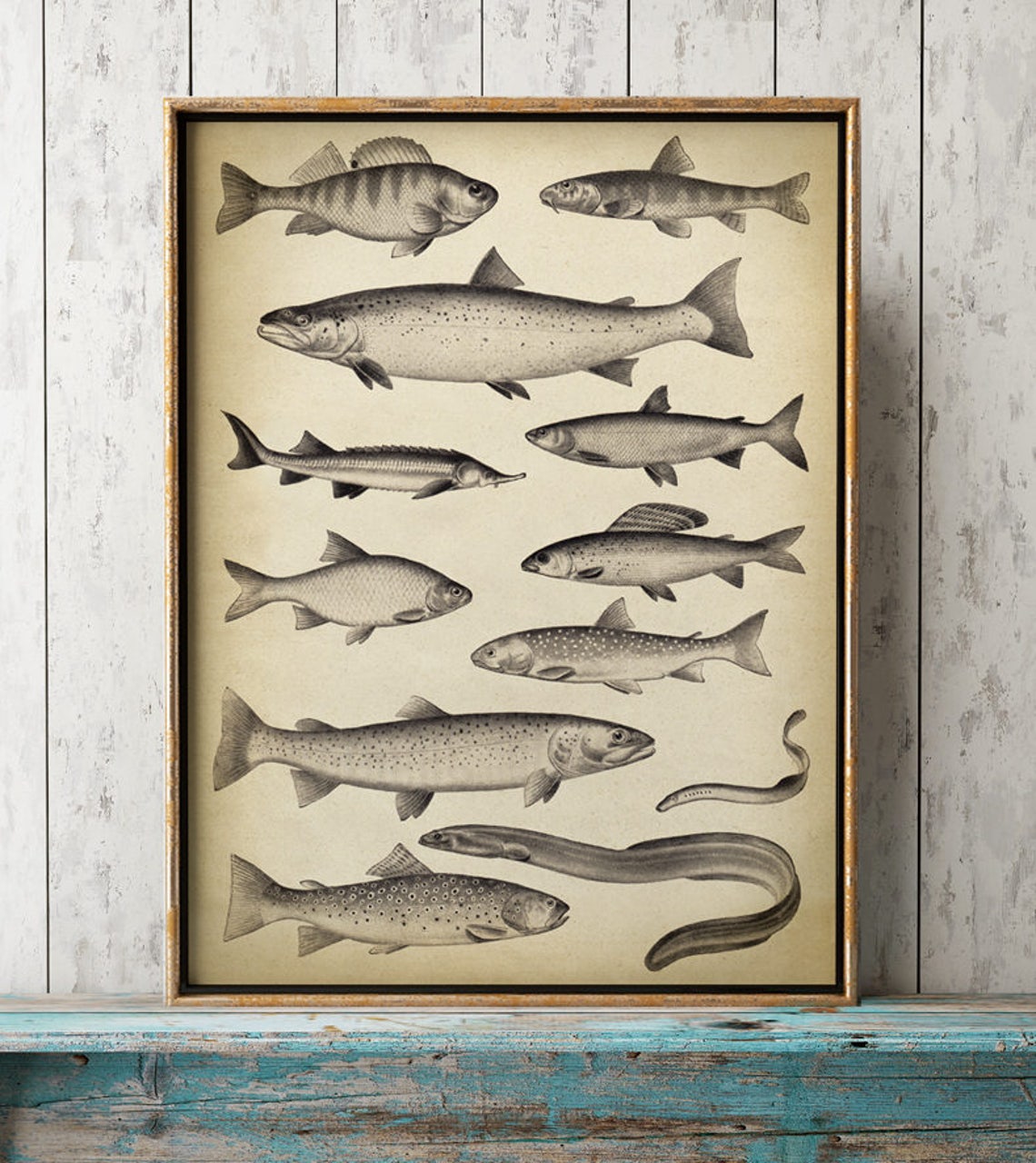 FISH Print SET of 2 Fish Charts Fish Poster Fish | Etsy