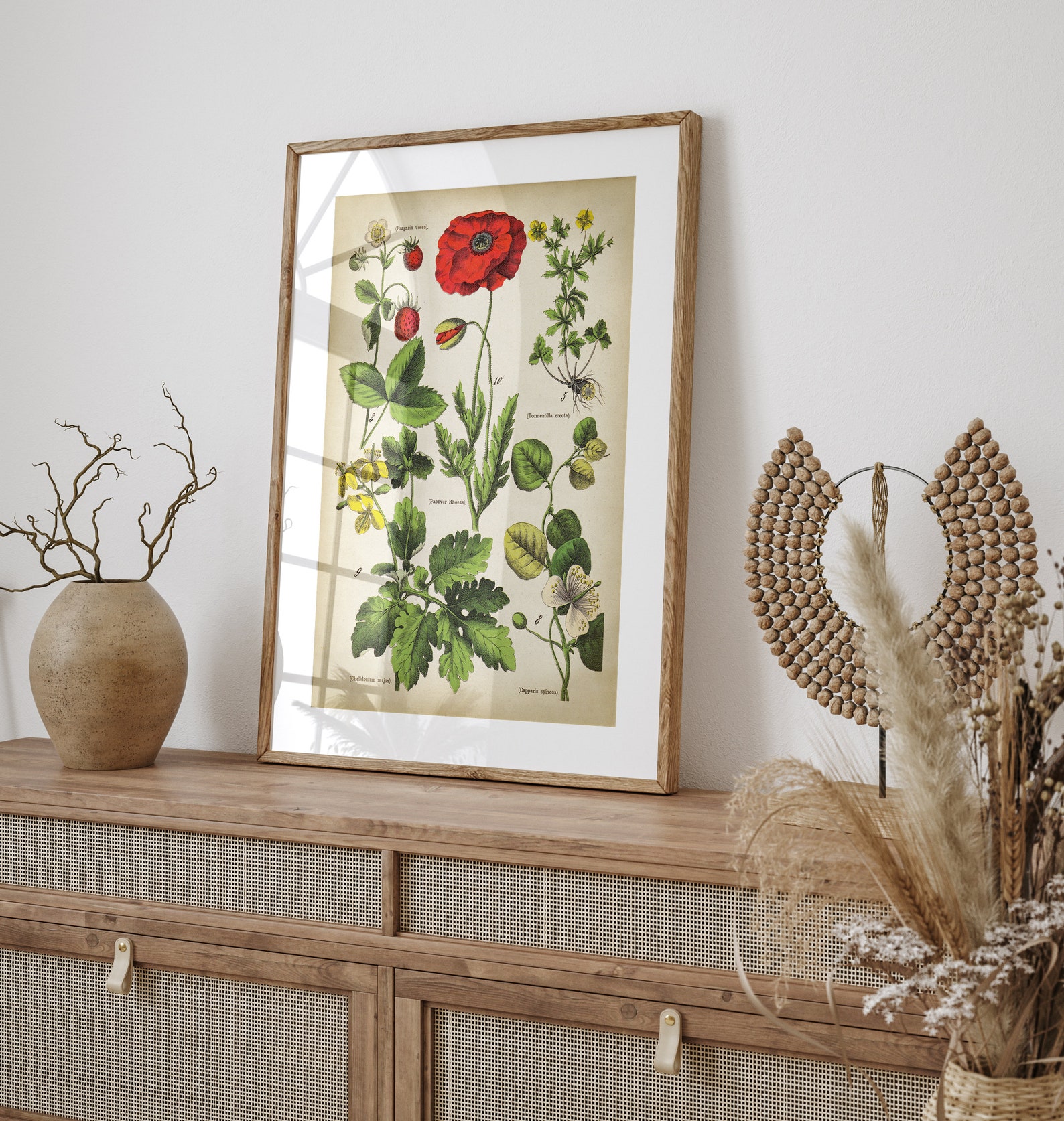 Botanical Print Set of 3 Mix and Match Vintage Flower Posters - Etsy