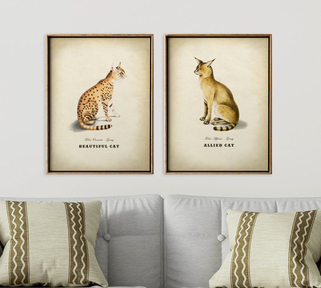 Vintage Cat Print Set: Retro Tabby Cat Illustration, Domestic Animal ...