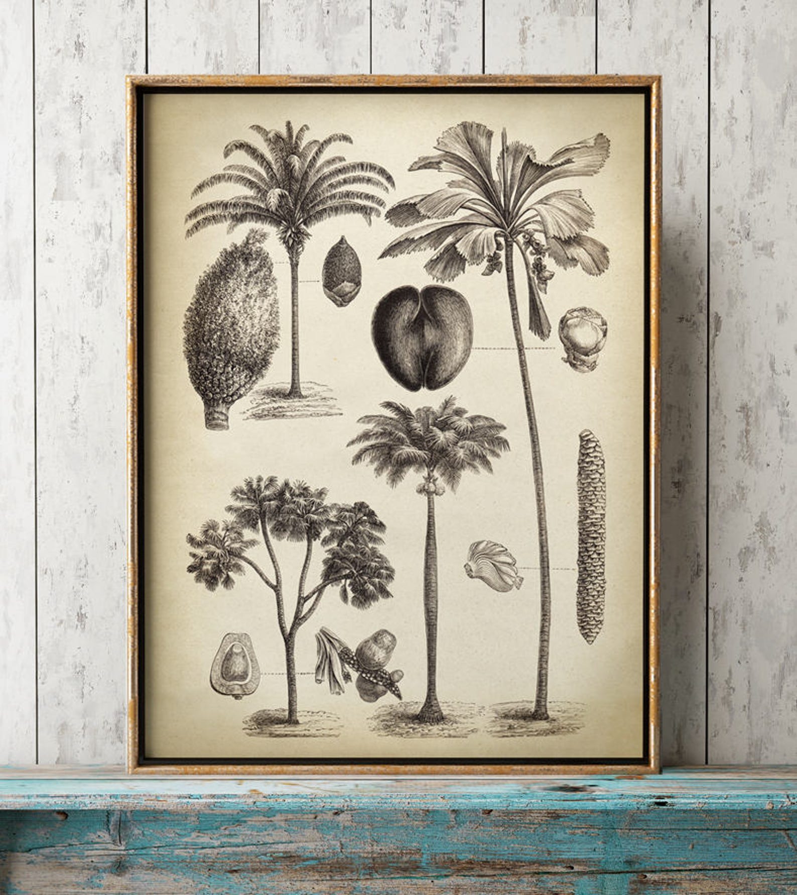 PALM BOTANICAL Print SET of 3 Art Posters, Tropical Palms Print ...