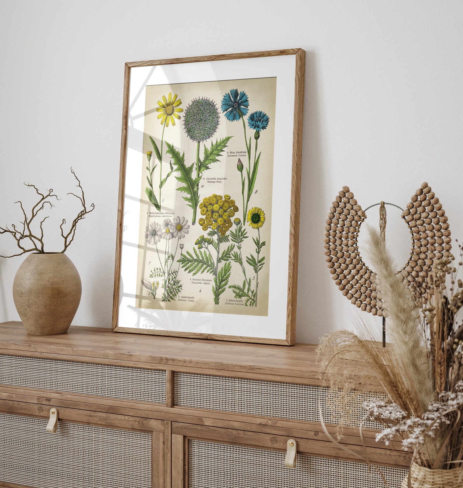 Botanical Poster Medicinal Plants and Flowers Print Print - Etsy