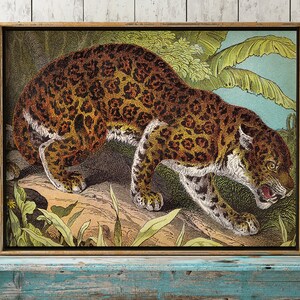 Vintage Jungle Animals Print Set: Antique Safari Art, Naturalist Decor ...