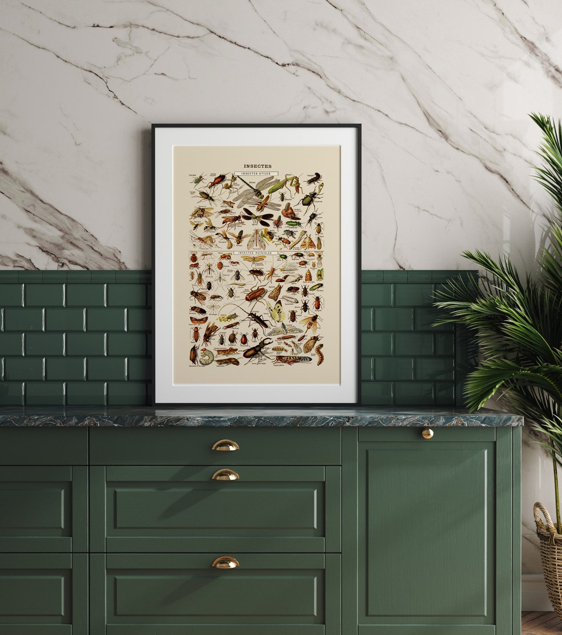 INSECT Poster Insects Chart Print INSECTES Flies Beetles | Etsy