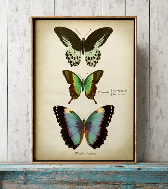 Butterfly Print Butterfly Poster Butterflies Wall Decor | Etsy UK