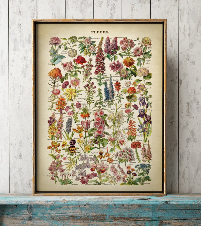 Botanical Print SET of 2 Botanical Poster Flowers Poster - Etsy