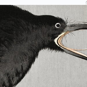Japanese Crows Print SET of 2, Japanese Birds Art Print, Black Raven ...