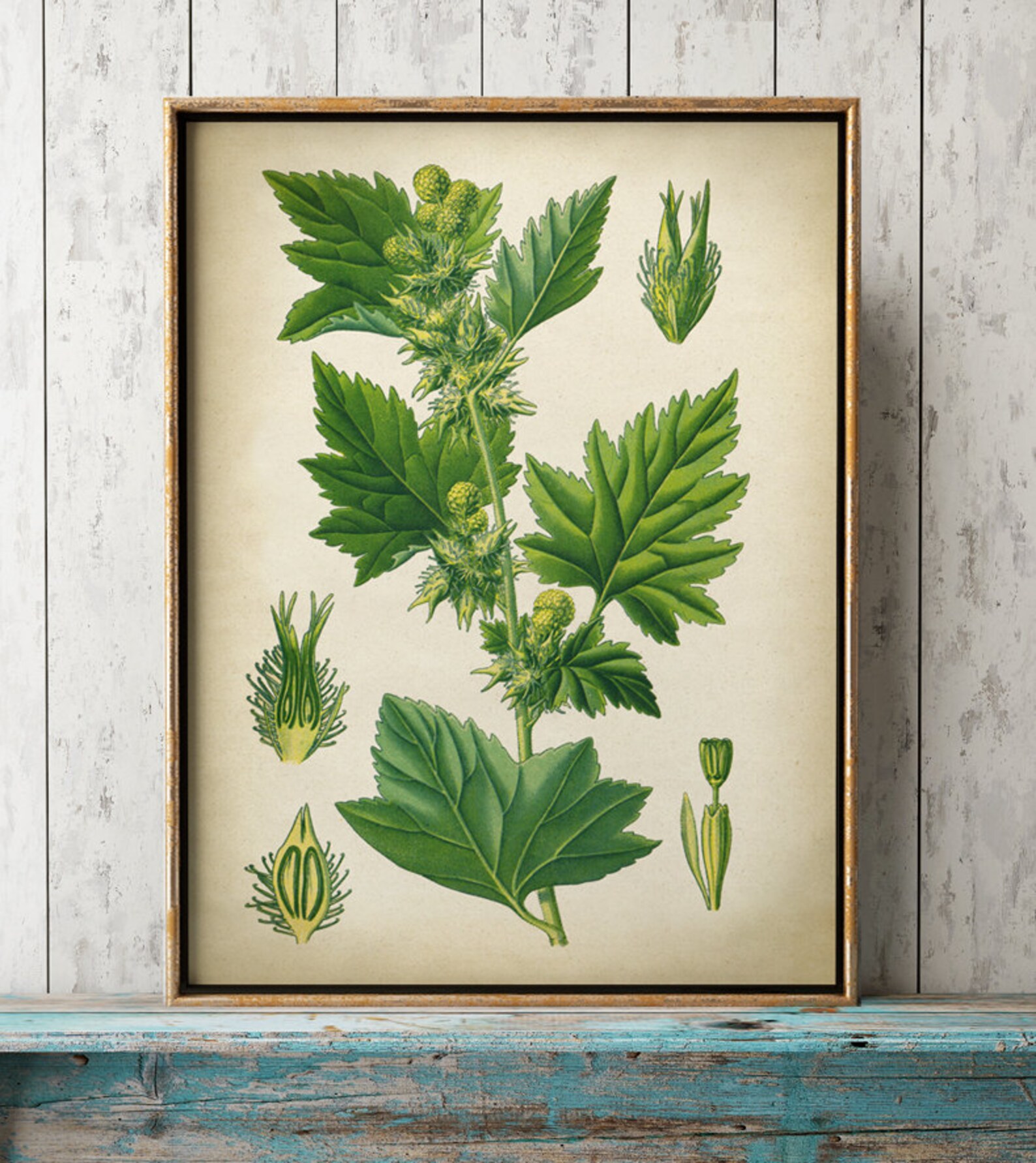 BOTANICAL Print SET of 4 Green Plants Prints Flower | Etsy