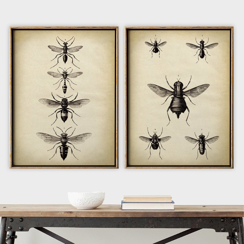 Insect print SET of 2 insect poster bee print wasp print | Etsy
