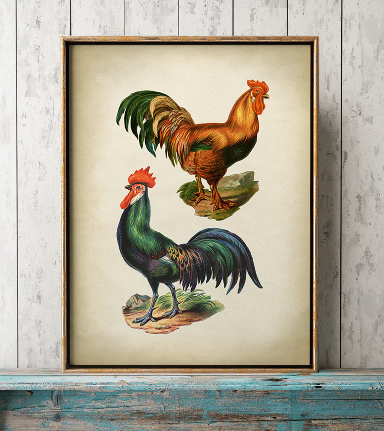ROOSTER and Hen Print Poultry Poster Farm Animals - Etsy