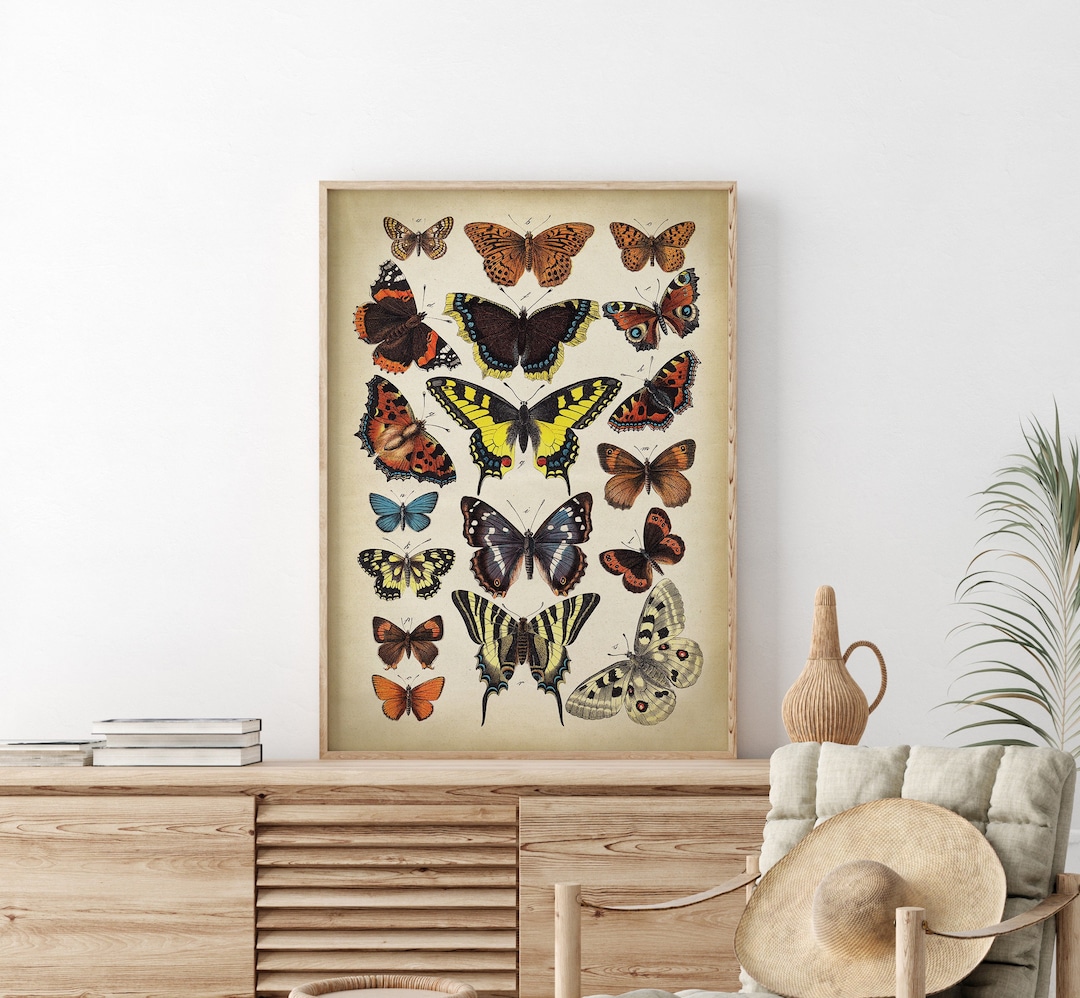 Butterfly Poster Butterfly Print Butterflies Wall Decor - Etsy