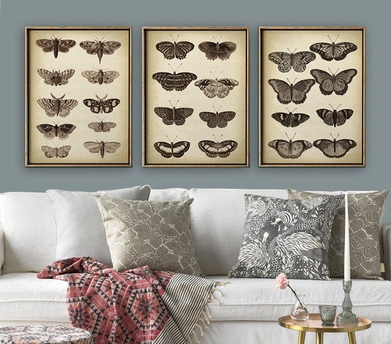 Butterfly Print Set of 3 Butterfly Poster Butterfly Print - Etsy