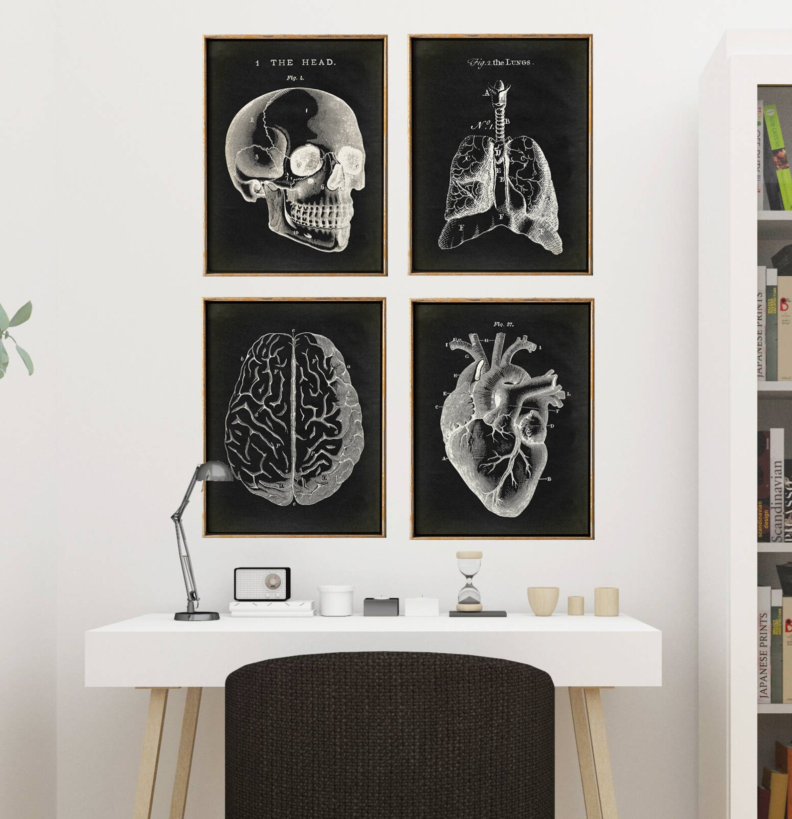 ANATOMY PRINT SET of Four Anatomy Charts Anatomy Poster - Etsy