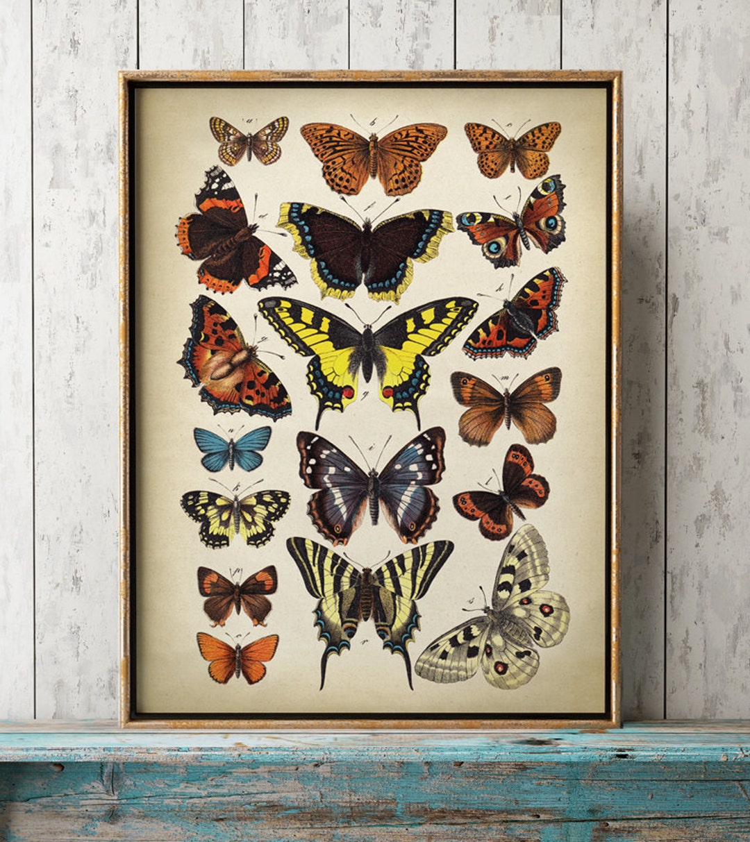 Butterfly Poster Butterfly Print Butterflies Wall Decor - Etsy