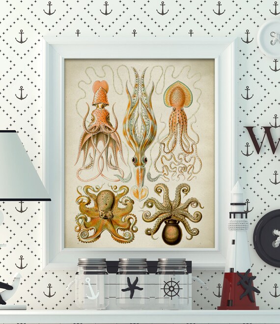 Squids Poster Octopus Print Cuttlefish Wall Decor Marine | Etsy