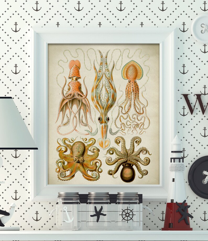 Squids Poster Octopus Print Cuttlefish Wall Decor Marine - Etsy