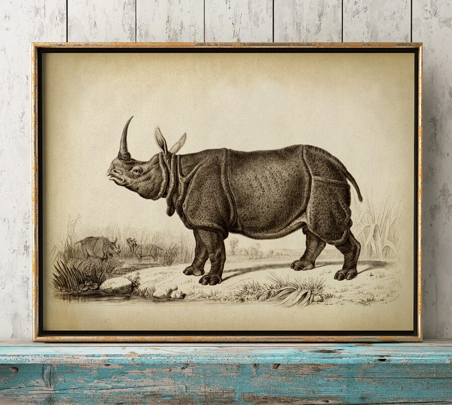 RHINO Print, RHINOCEROS Poster, Rhino Illustration, Home Decor, Wall ...