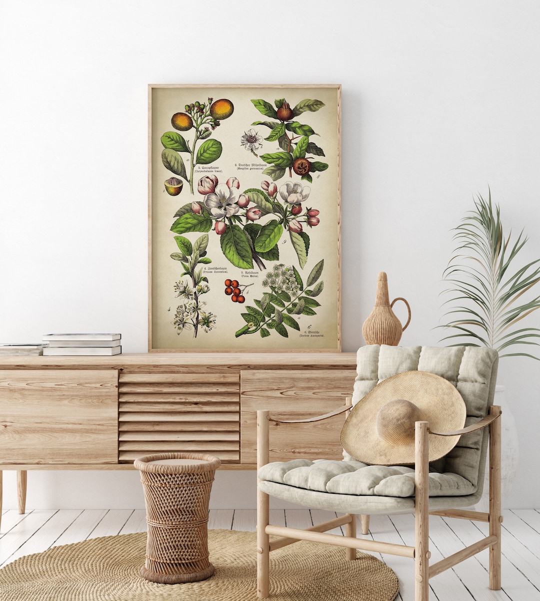Vintage Botanical Fruits and Flowers Poster: Scientific Print - Etsy