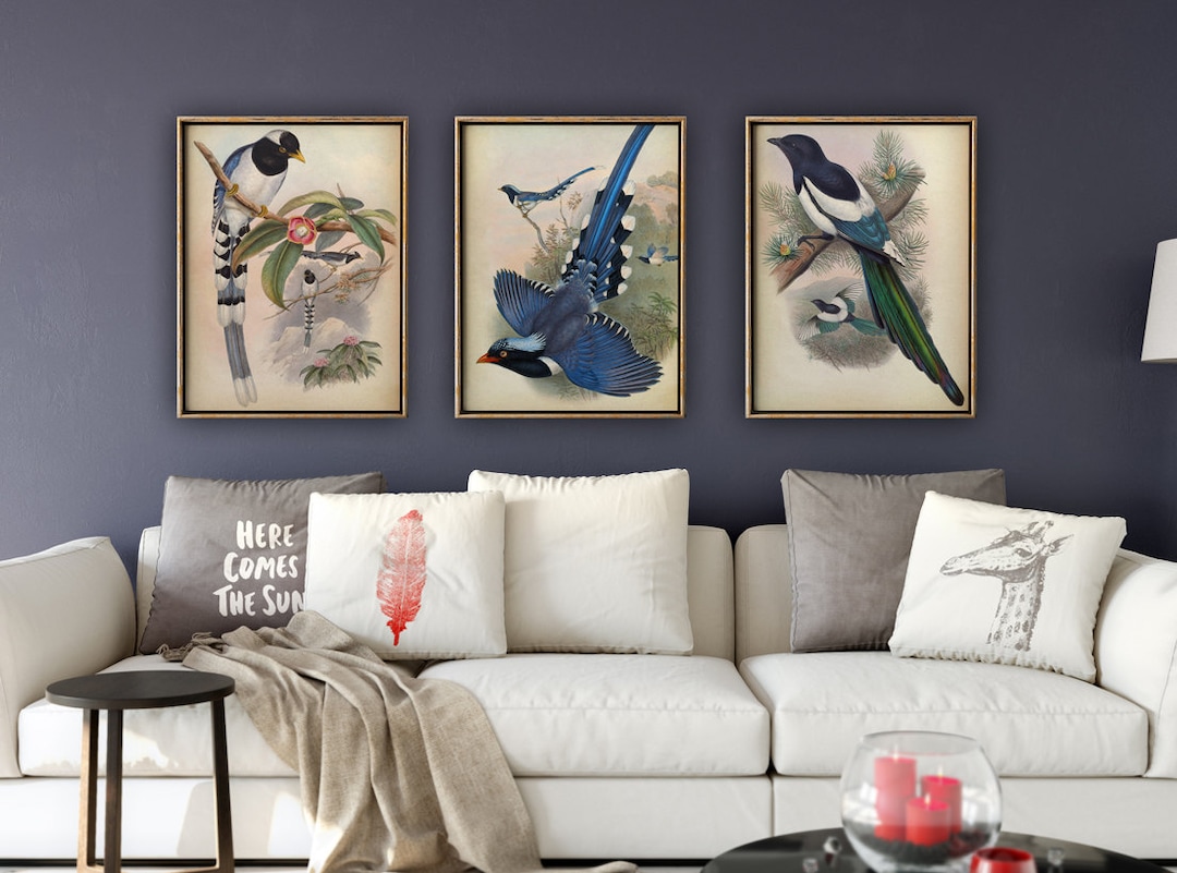 TROPICAL BIRD Print SET of 3, Exotic Bird Poster, Blue Bird ...