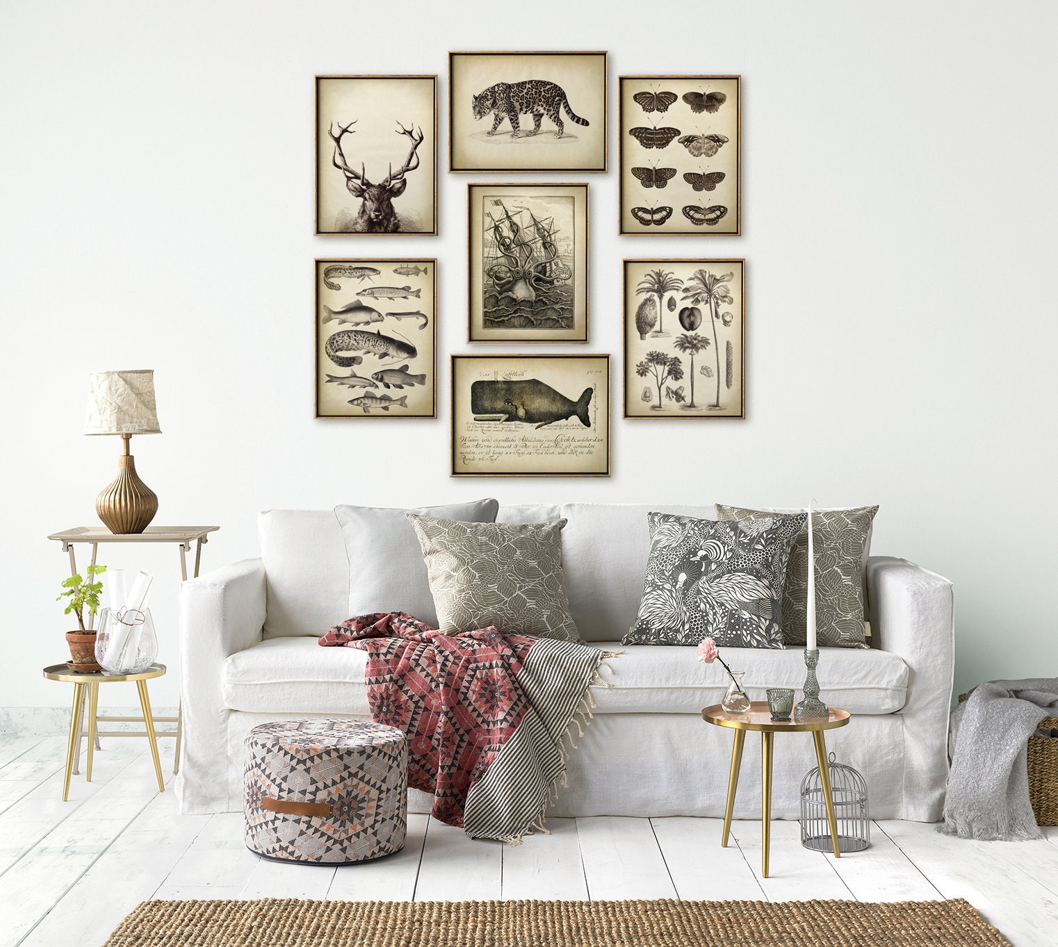 Gallery Wall Art Print SET of 7 Art Prints Natural History | Etsy