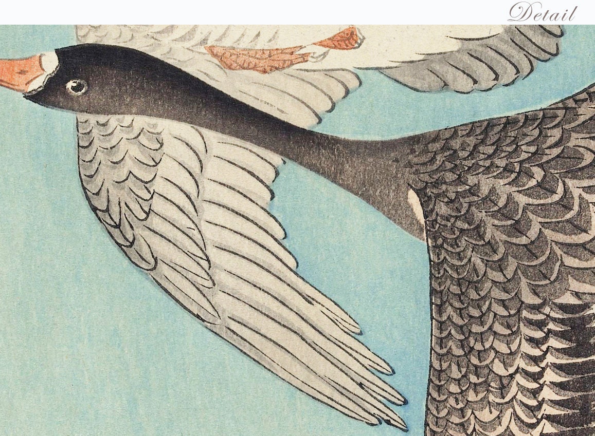 Japanese Ducks Art Print Geese Flying Poster Elegant | Etsy UK