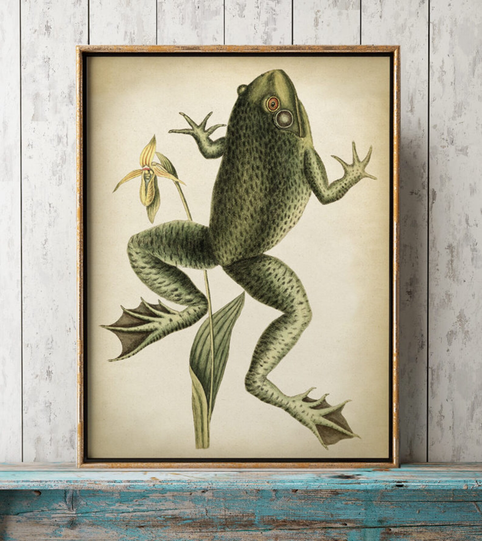 FROG Print Green Frog Poster Amphibian Poster frog | Etsy