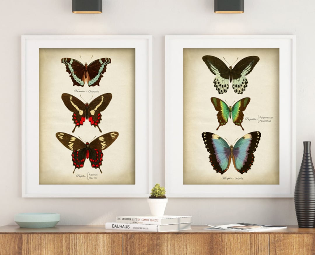 Butterfly Print SET of 2, Butterflies Poster, Insect Print, Antique ...