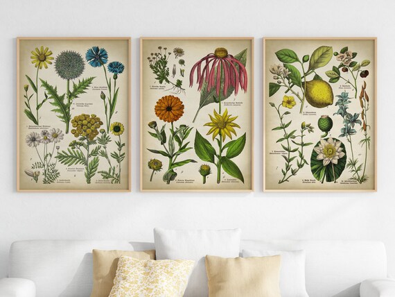 Botanical Print Set of 3 Botanical Set Flower Print Set of - Etsy