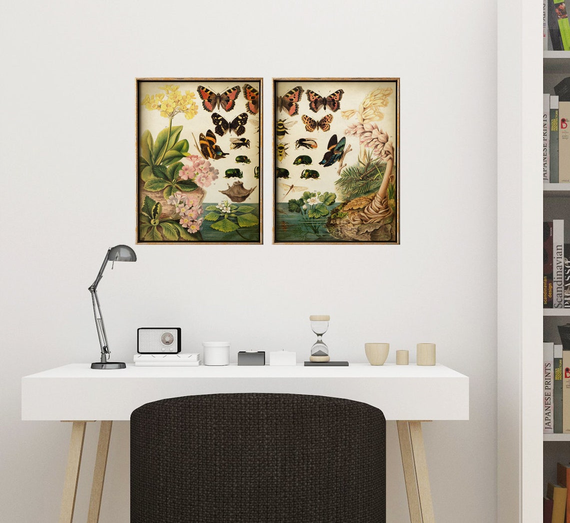 INSECT PRINT SET of 2 Insect Poster Butterfly Set Fly | Etsy