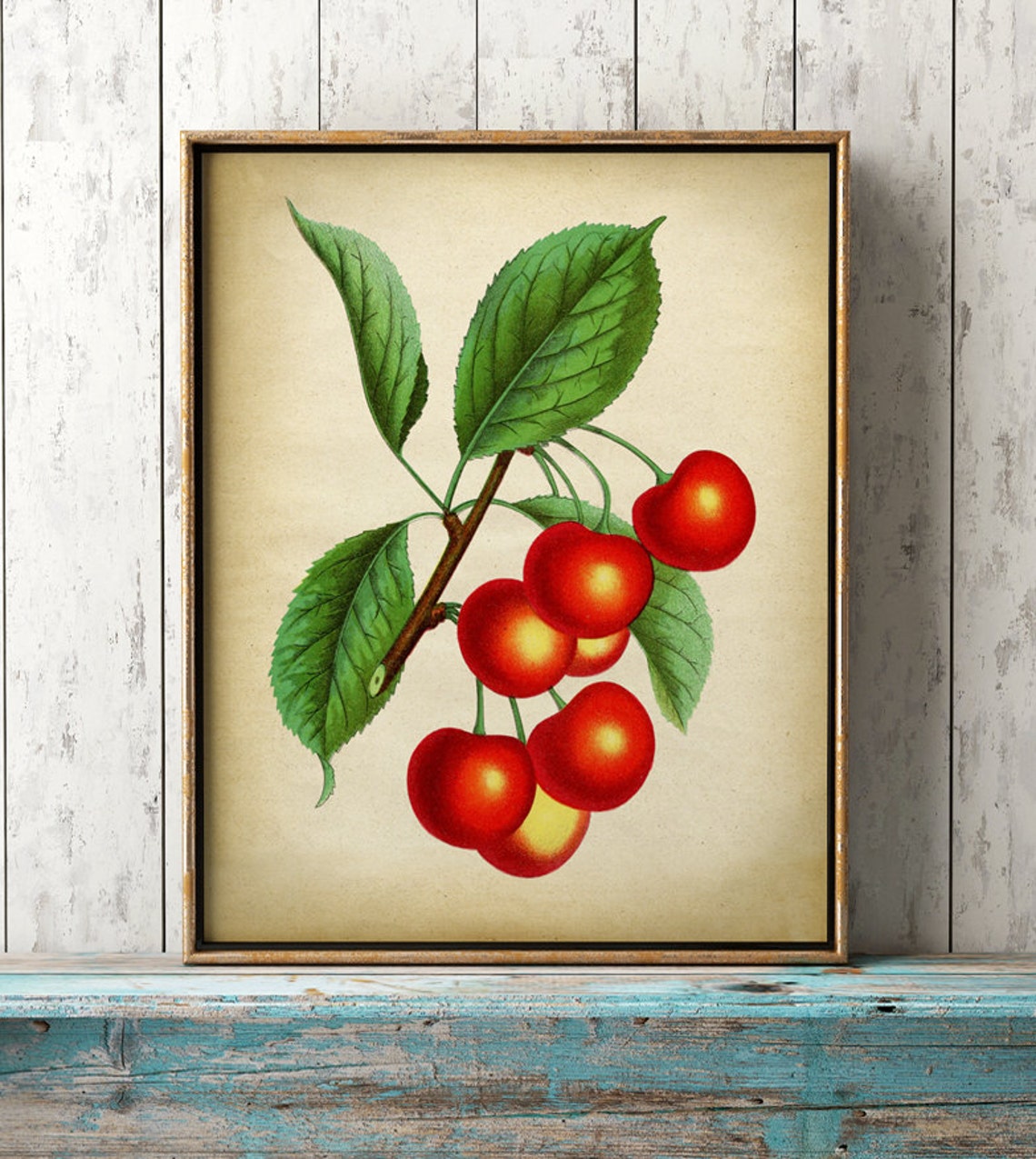 Fruits Botanical Print SET of 6 Art Prints Assorted Fruit - Etsy