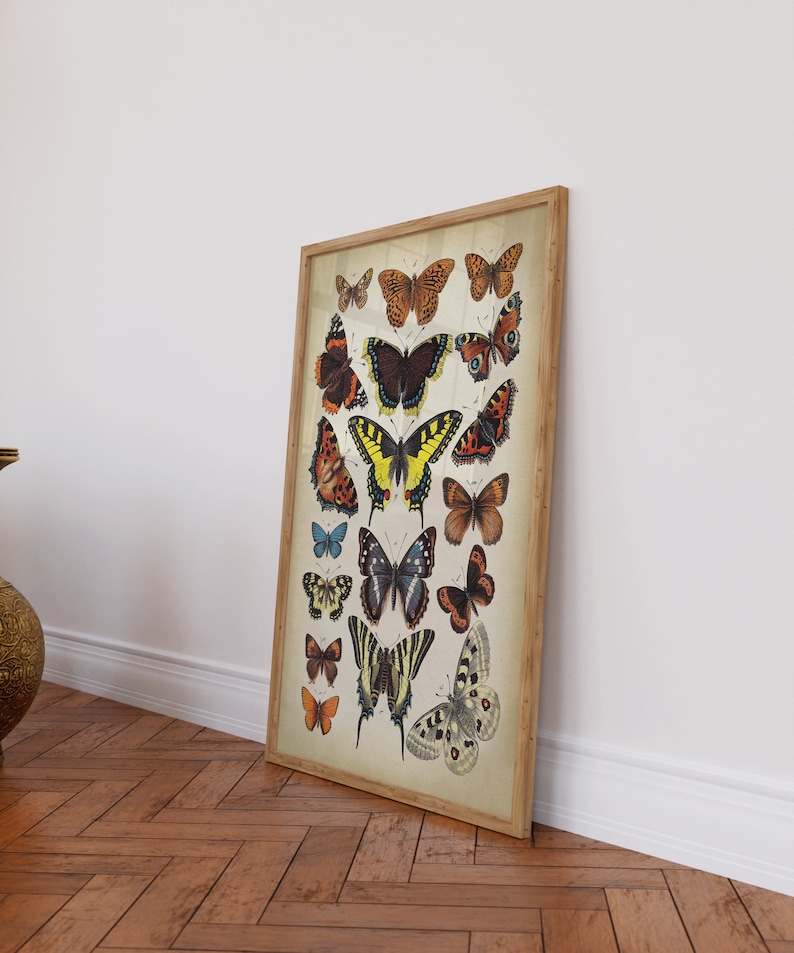 Butterfly Poster Butterfly Print Butterflies Wall Decor - Etsy