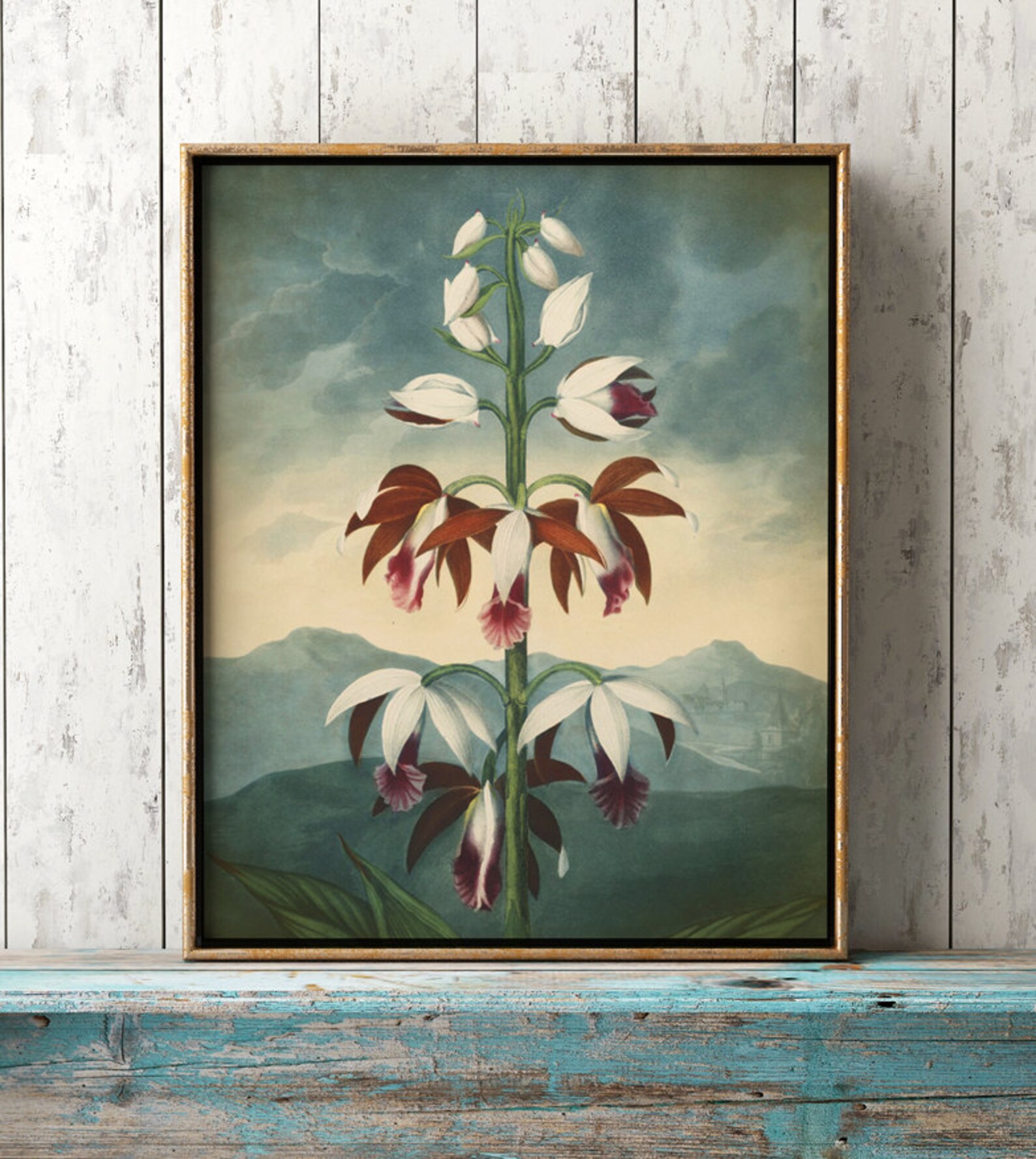 Botanical Print Set of 3 Flower Print Set Botanical Poster - Etsy