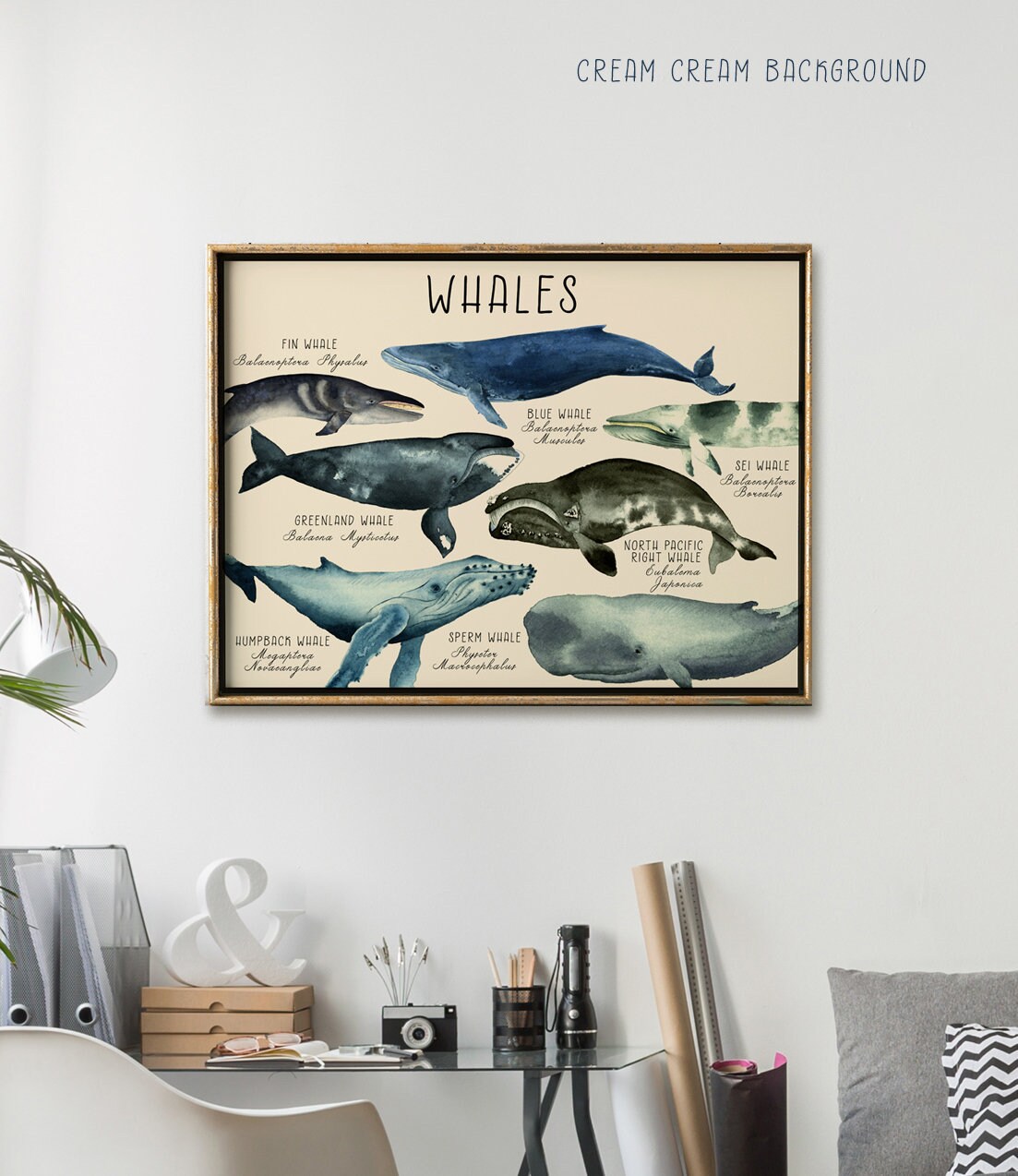 WHALES Art Print Watercolor Whale Poster Whale Breeds | Etsy