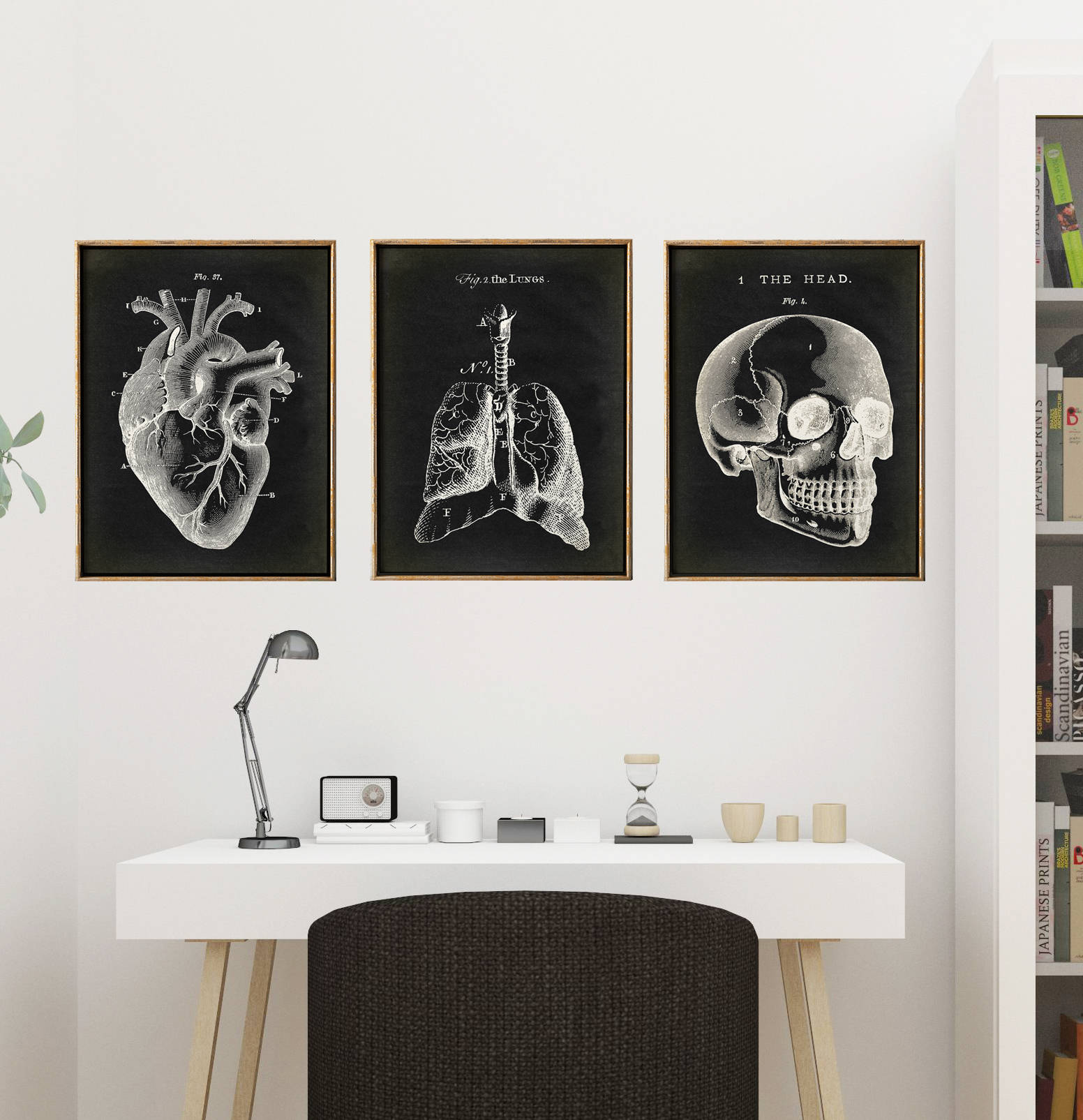 Anatomy Print SET of 3 Anatomical Poster on black Skull | Etsy