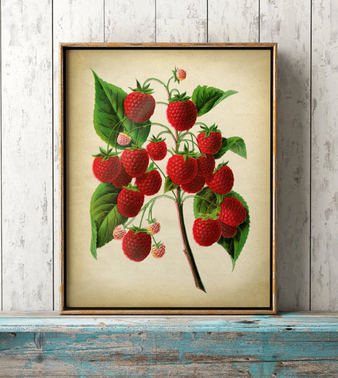 Strawberries Botanical Print, Strawberry Poster, Red Berries Print ...