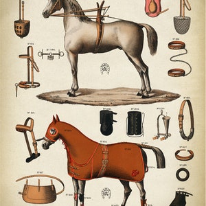 HORSEBACK EQUIPMENT Print Horse Poster Jockey Art - Etsy