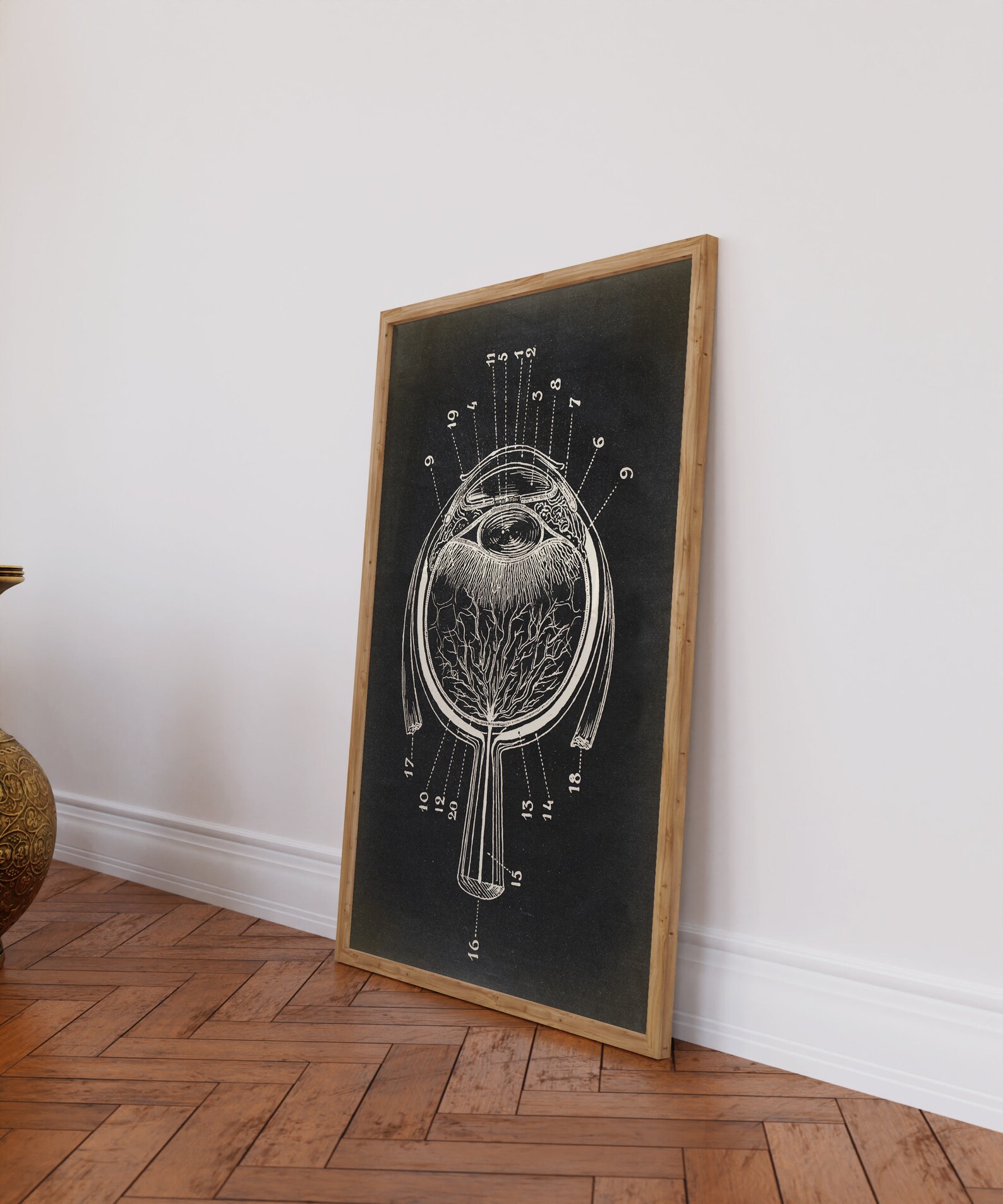 Eye Anatomy Poster Eyeball Chart Scientific Illustration - Etsy