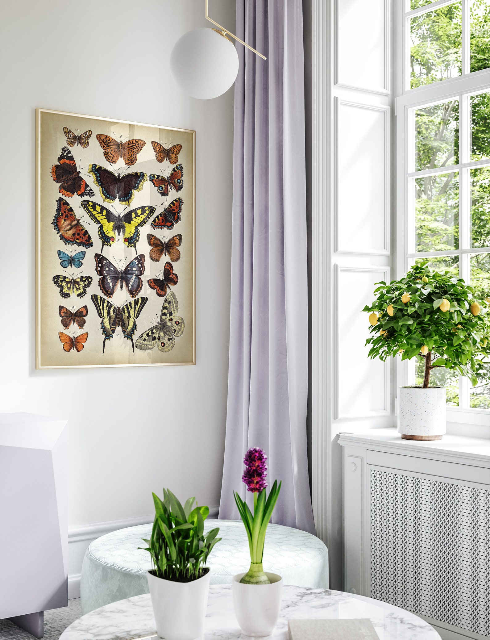 Butterfly Poster Butterfly Print Butterflies Wall Decor - Etsy