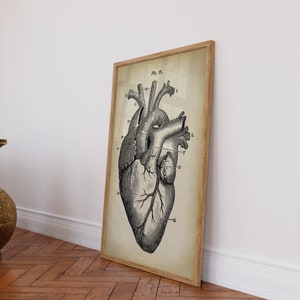 Heart Anatomy Print, Heart Print, Anatomical Drawing, Anatomy Poster ...