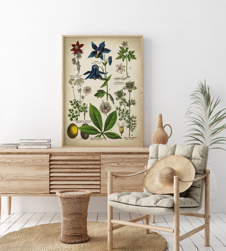 Botanical Poster Plants and Flowers Print Botanical Print - Etsy