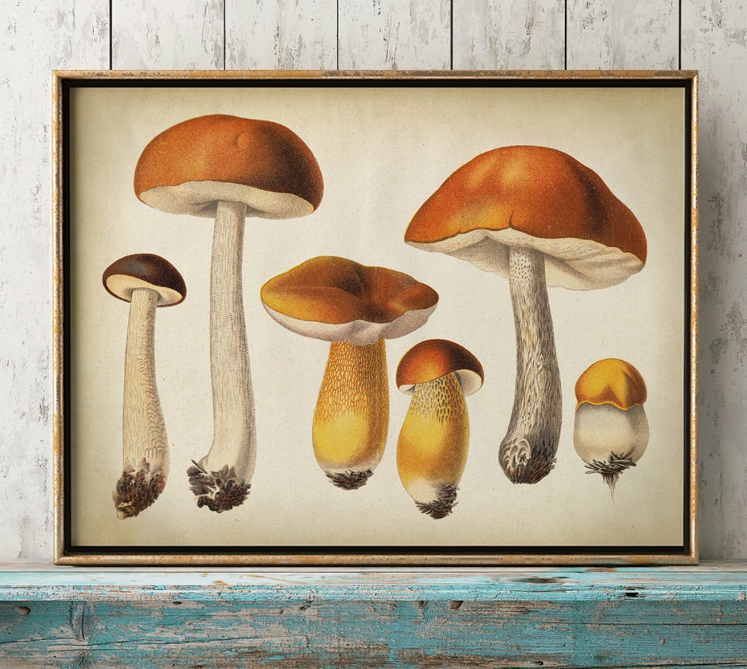 Botanical Mushrooms Poster, Vintage Aesthetic Botanical Print, Fall ...