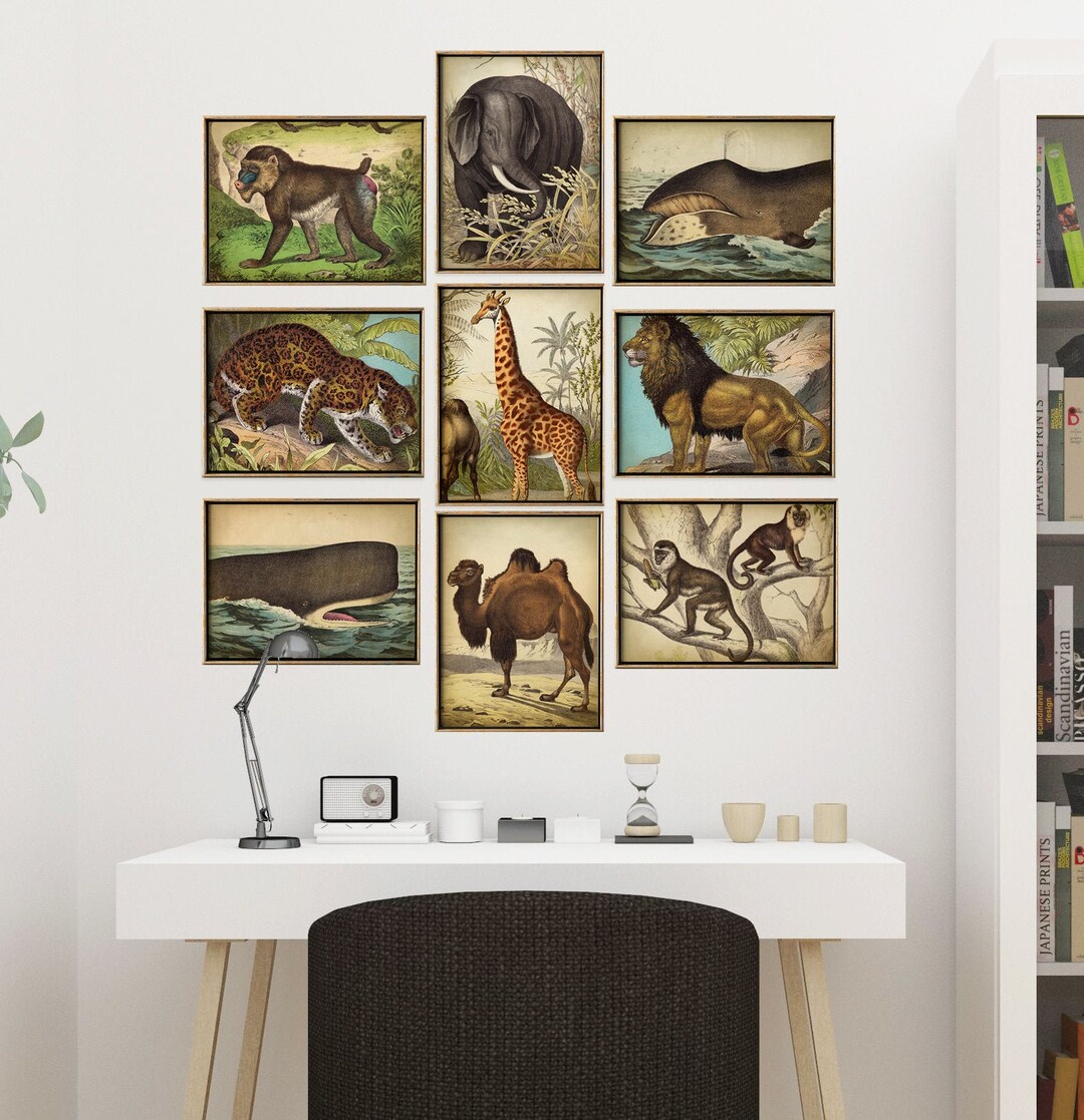 GALLERY Wall Print Set of 9 PRINTS, Safari Jungle Animals Poster, Whale ...