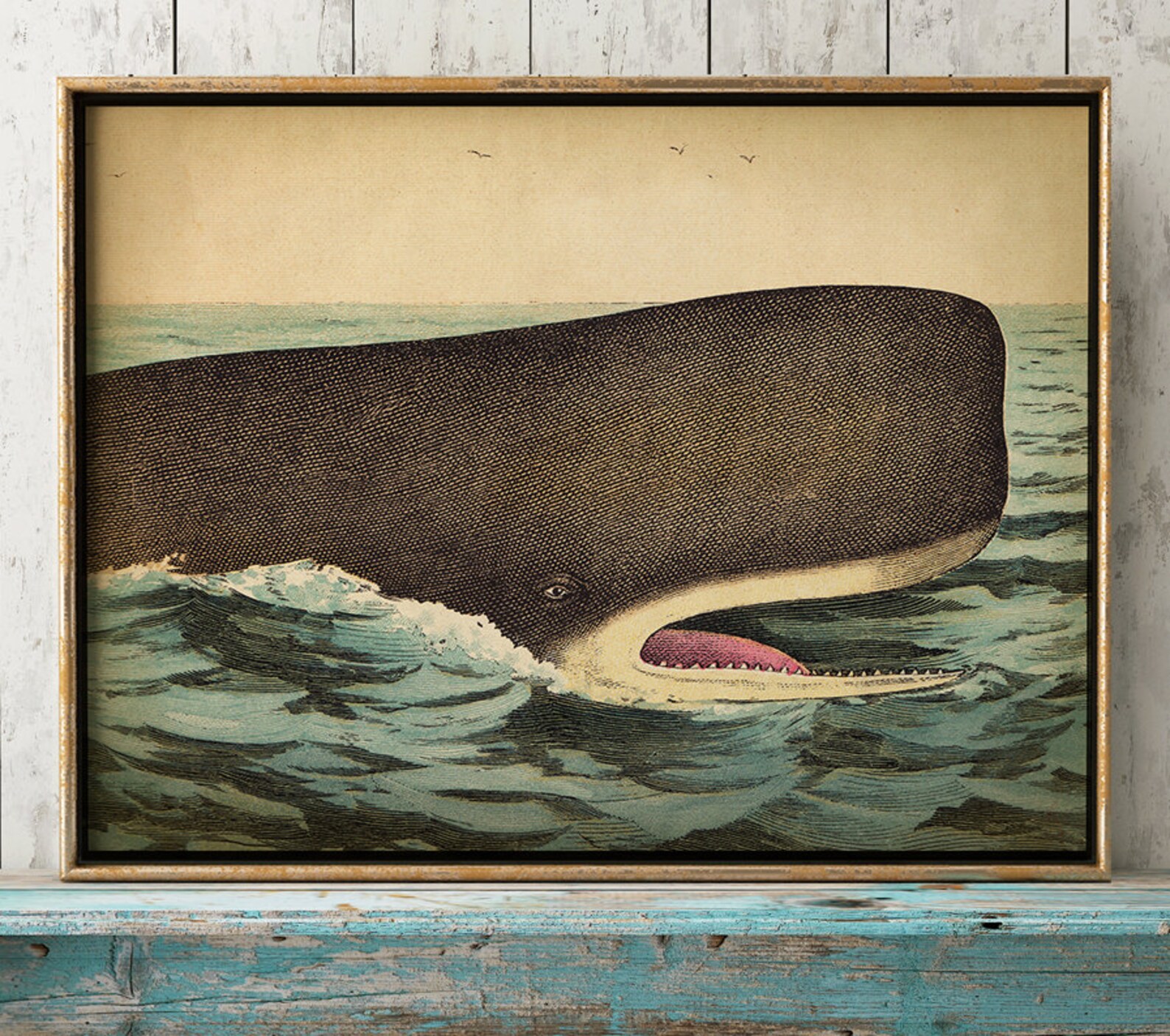 WHALE PRINT SET 3 Whales Set Poster Whale Poster Coastal - Etsy