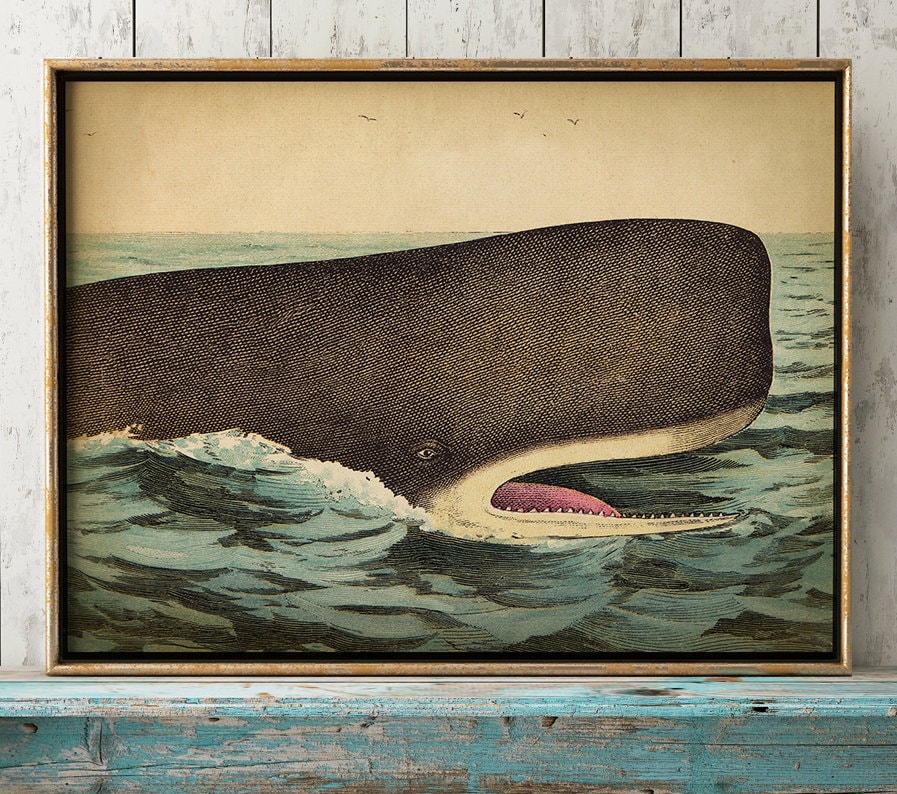 WHALE PRINT SET 3 Whales Set Poster Whale Poster Coastal - Etsy