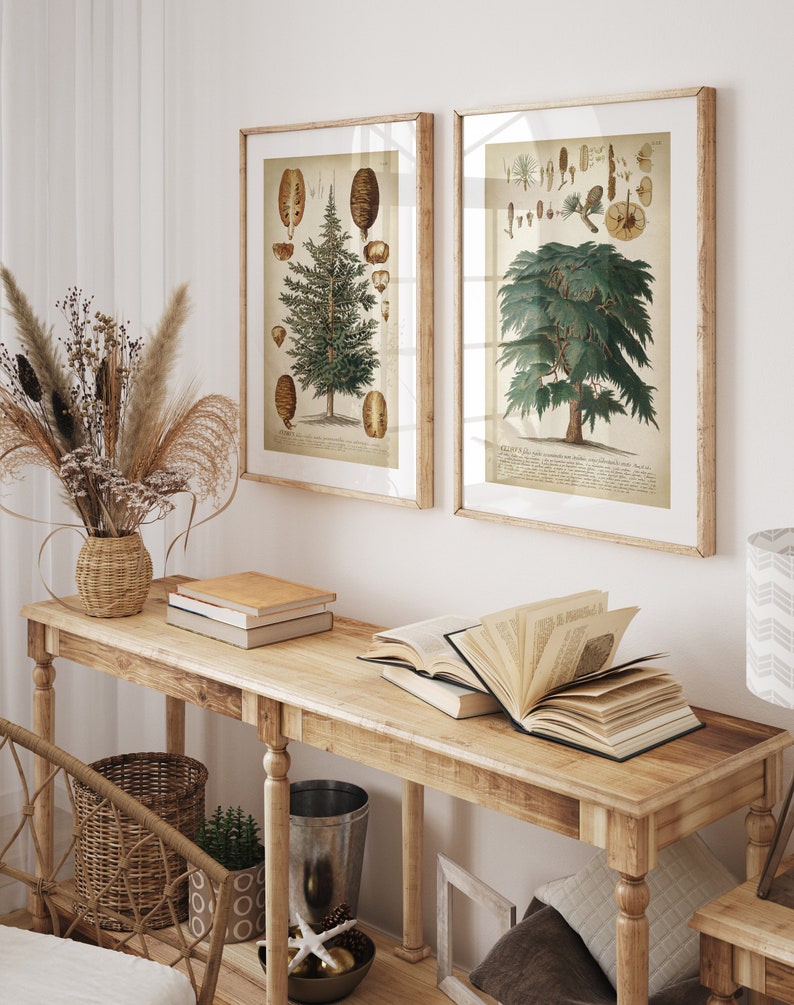 Cedar Tree Botanical Print SET of 2 Cedar Print Old Trees - Etsy